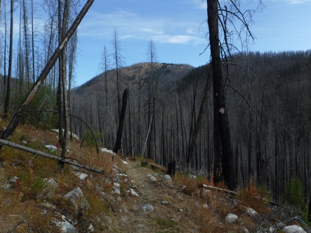 Ryan Cabin — Washington Trails Association
